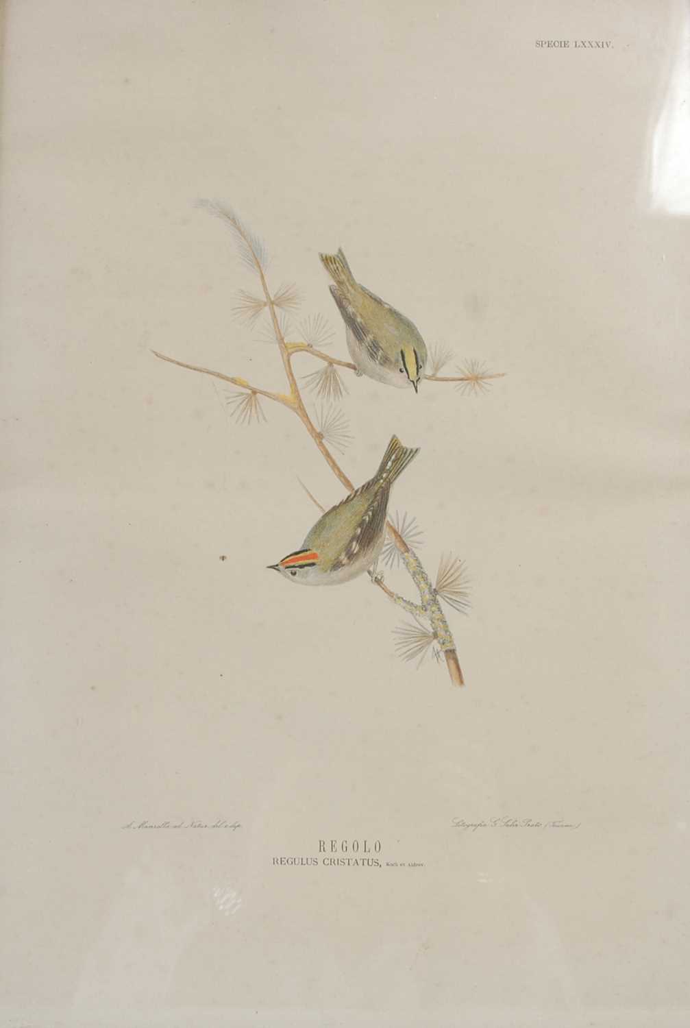 Lot 397 - Two 19th century Italian coloured