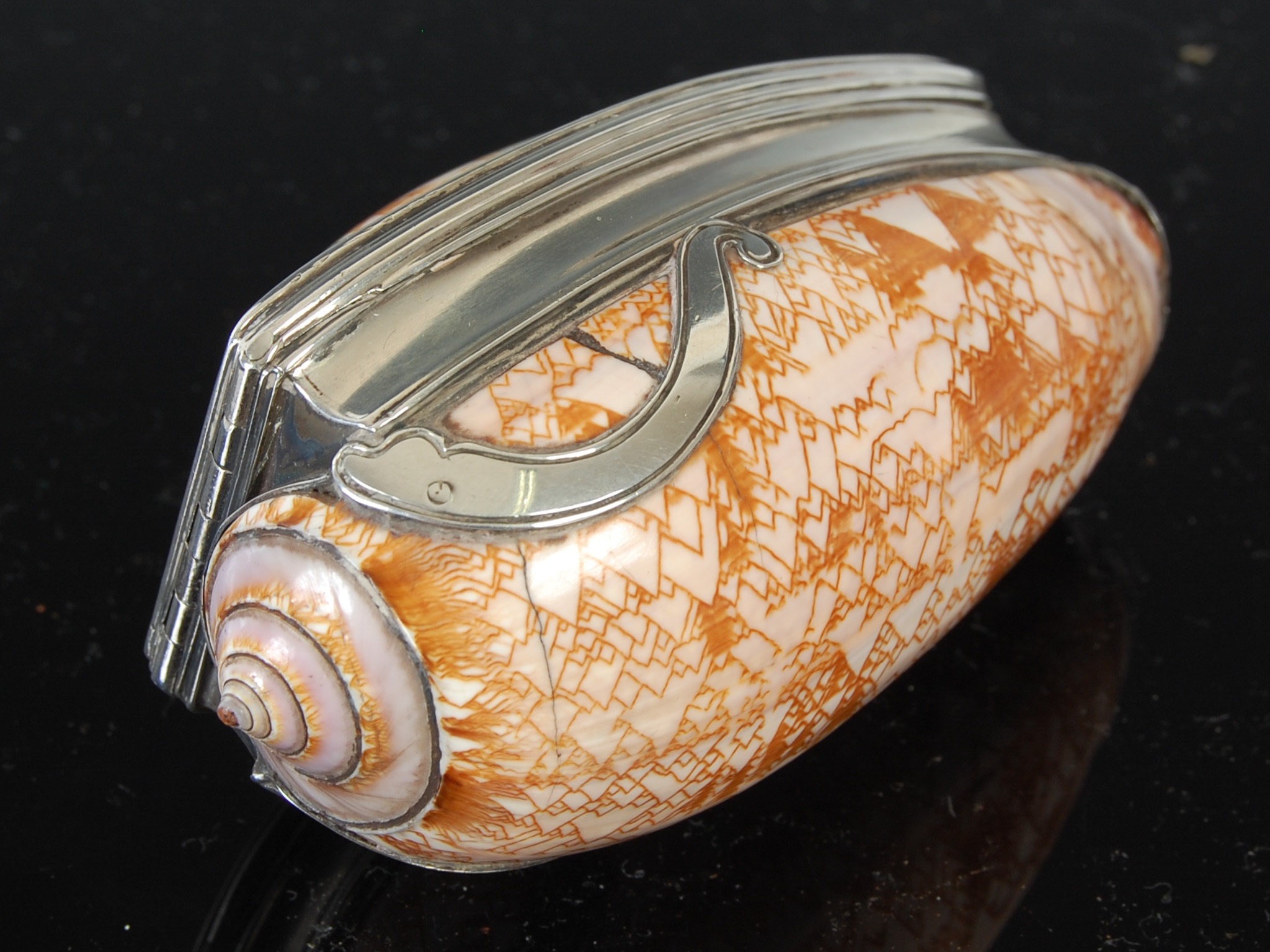Lot 235 - An Oliva porphyria shell snuff box, with