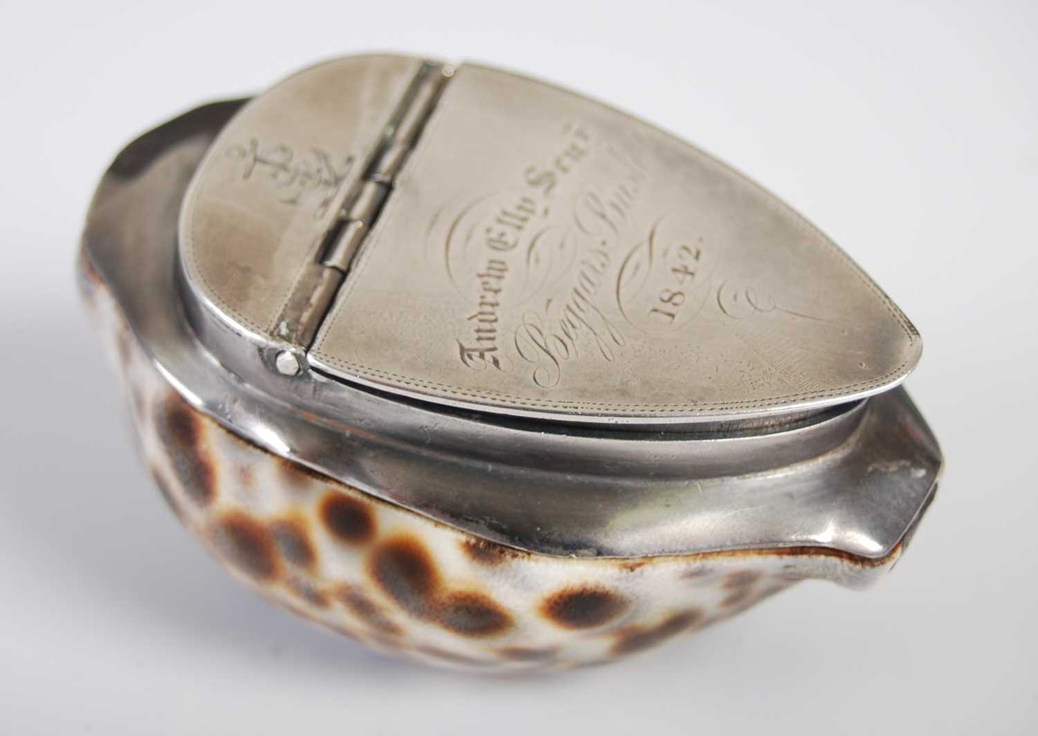 Lot 273 - A Scottish silver-mounted cowrie shell snuff